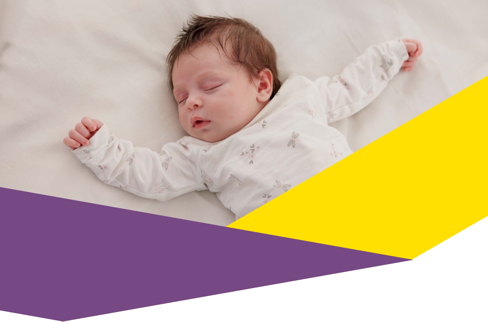 Abbott-Karger | MIMS online