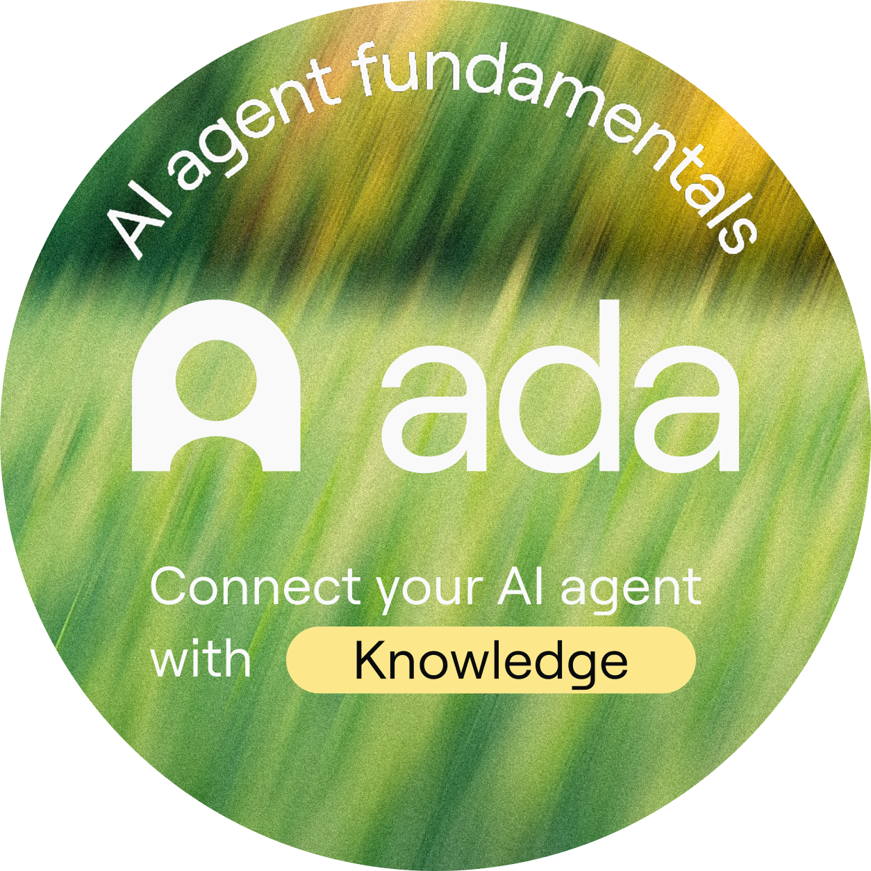 Ada