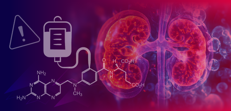 Nephrology CME/CE Continuing Medical Education Courses | PER