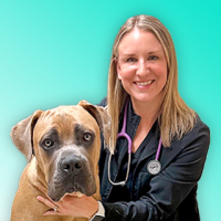 Inside the Clinic--Parvo Perspectives, Strategies, Stories & CPMA Solutions